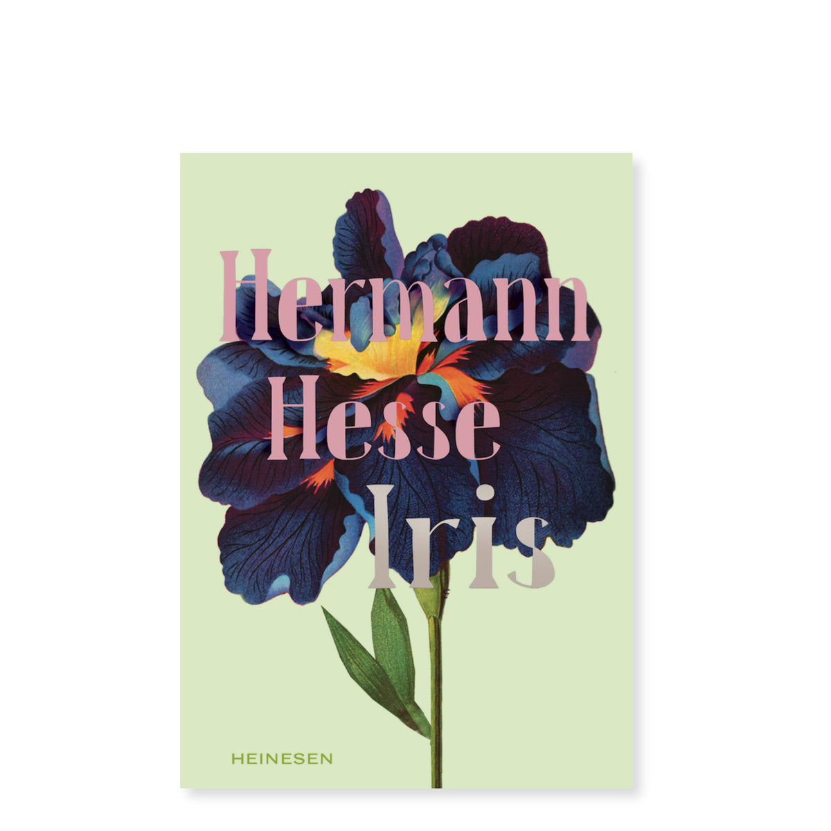 Iris av Hermann Hesse | Heinesen Forlag